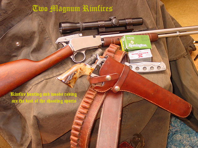 The Taurus Model 72 Stainless